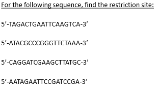 Solved For the following sequence, find the restriction site | Chegg.com