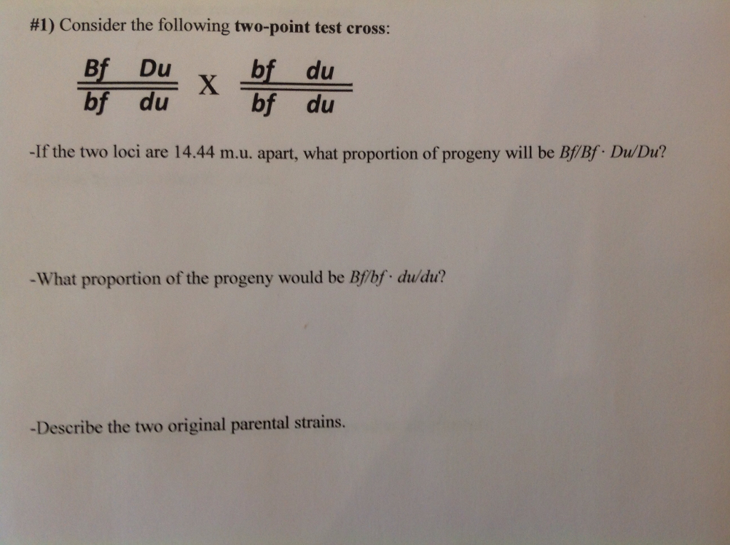 Test Cross Definition