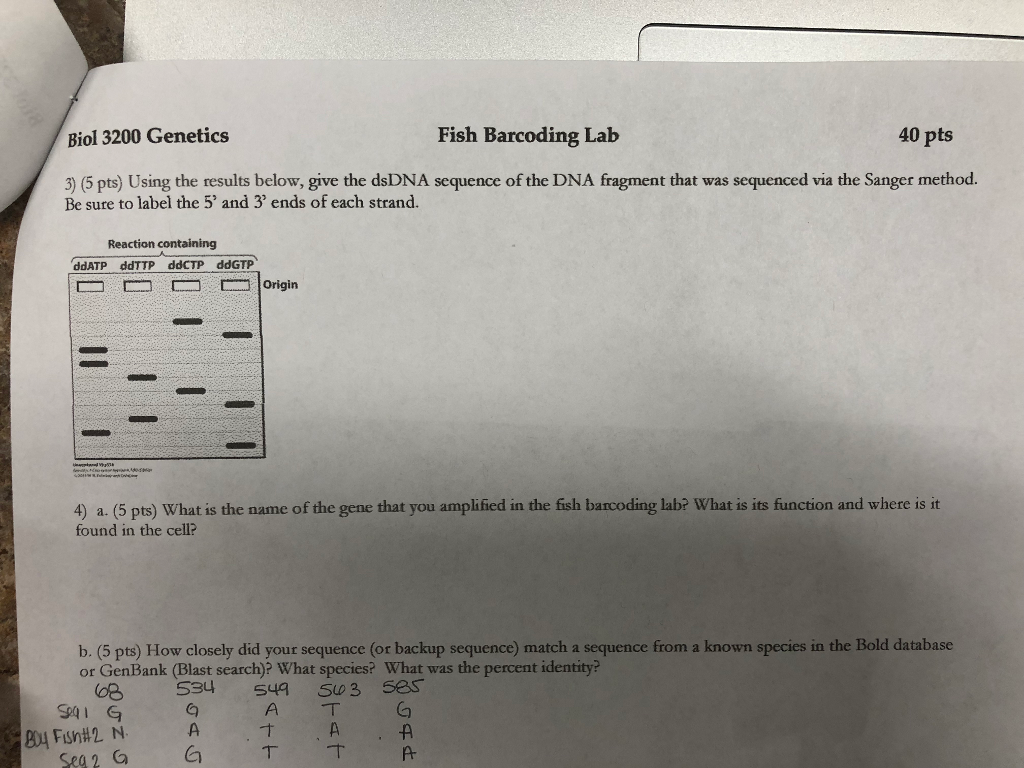 Solved Biol 3200 Genetics Fish Barcoding Lab 40 pts 3) (5 | Chegg.com