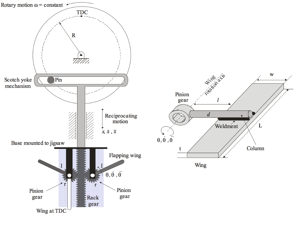 Solved Scenario To design a simple winged mechanism. A | Chegg.com