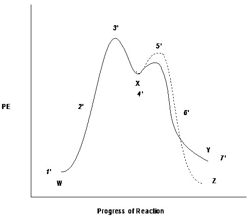 Solved Based on the potential energy diagram for the | Chegg.com