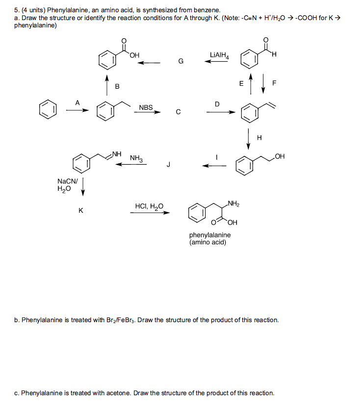 Solved Phenylalanine, an amino acid, is synthesized from | Chegg.com