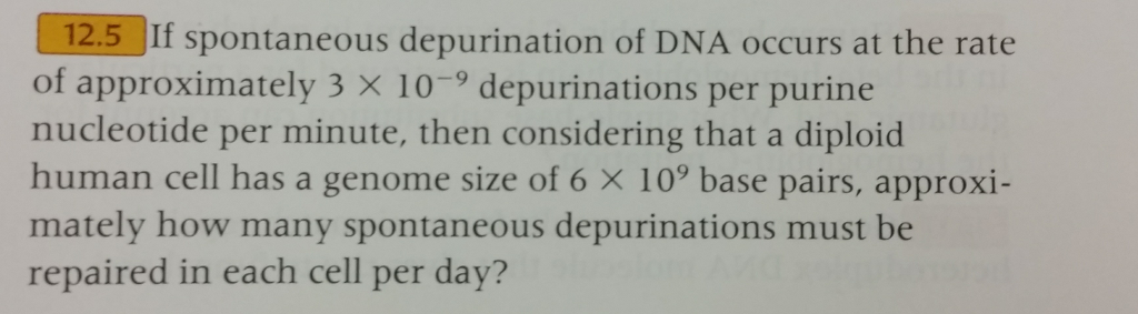 Solved If spontaneous depurination of DNA occurs at the rate | Chegg.com