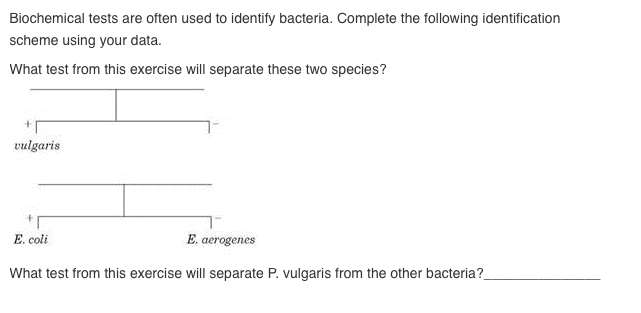 Solved Biochemical tests are often used to identify | Chegg.com