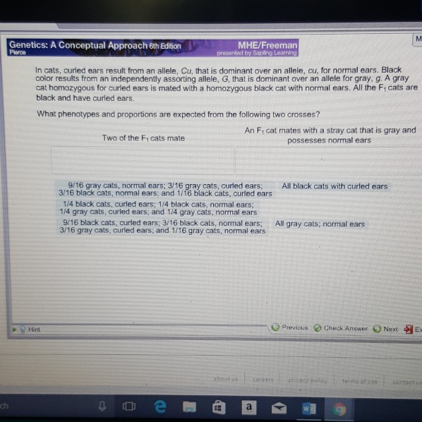 Solved Genetics A Conceptual Approach 6th Edtion Pierce