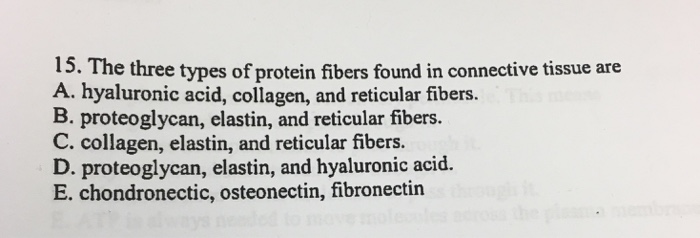 Solved The three types of protein fibers found in connective | Chegg.com