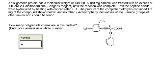 Solved An oligomeric protein has a molecular weight of | Chegg.com