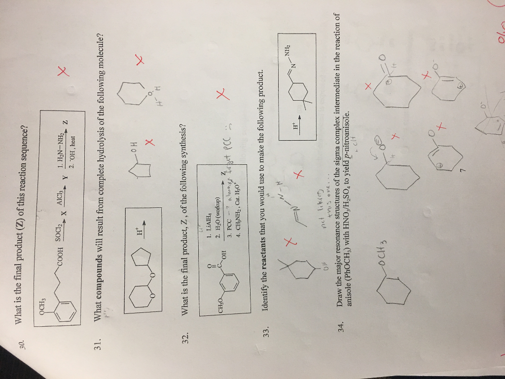 Solved Provide the major organic product reaction shown of | Chegg.com