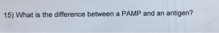 Solved What is the difference between a PAMP and an antigen? | Chegg.com