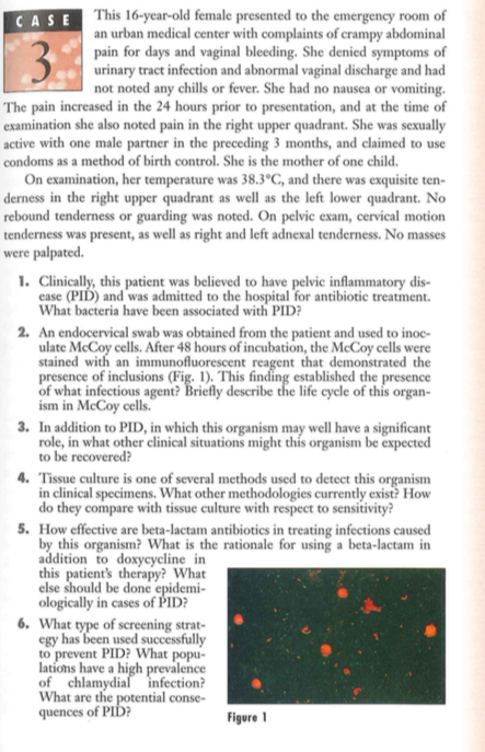Solved Please answer each case study individually with | Chegg.com