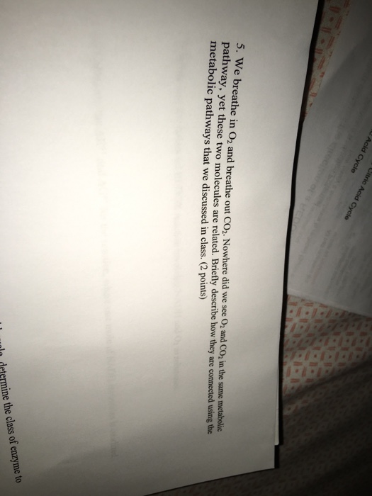 solved-we-breathe-in-o-2-and-breathe-out-co-2-nowhere-did-chegg