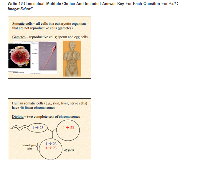 Solved Note: Write 12 Conceptual Multiple Choice And | Chegg.com