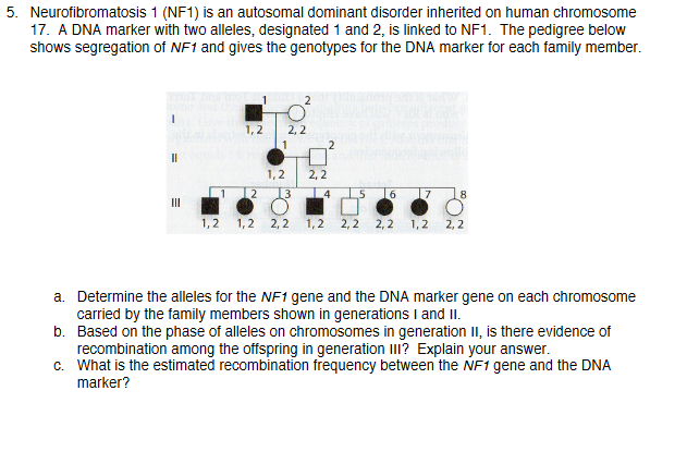 Solved Neurofibromatosis 1 (NF1) is an autosomal dominant | Chegg.com