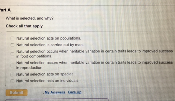 Solved What is selected, and why? Check all that apply. | Chegg.com