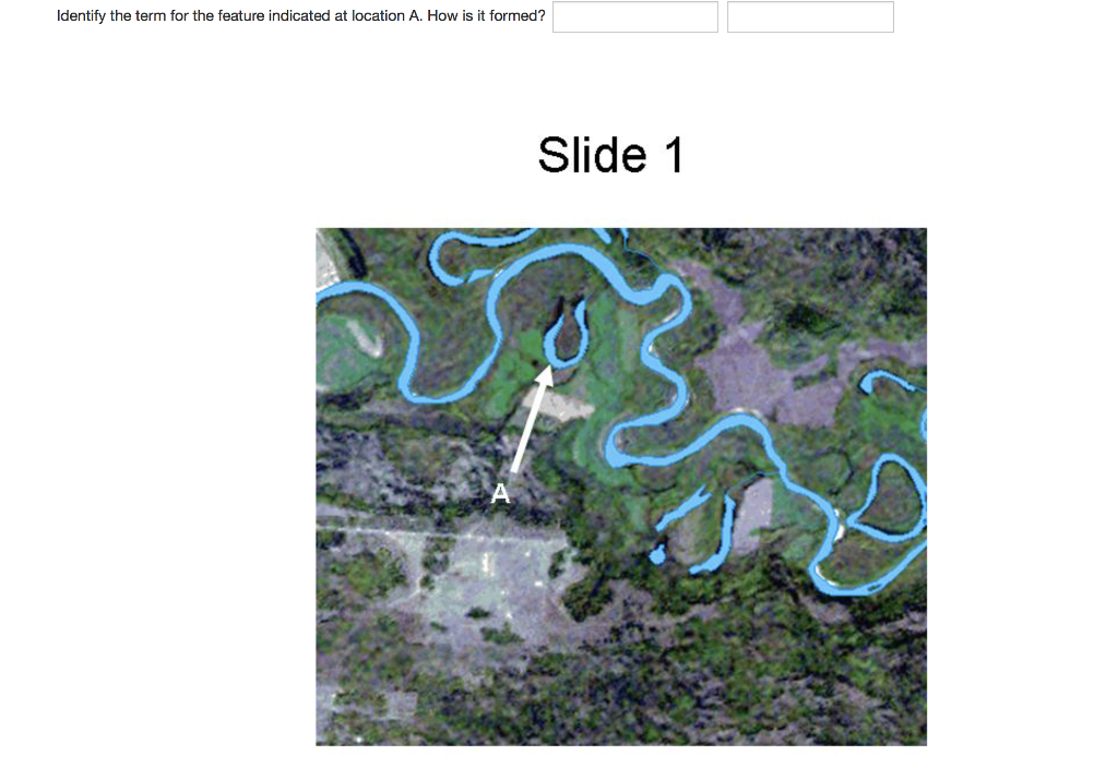 Solved Identify the term for the feature indicated at | Chegg.com