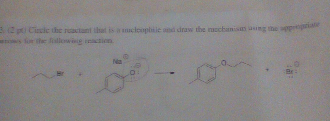 Solved Circle the reactant that is a nucleophile and draw | Chegg.com