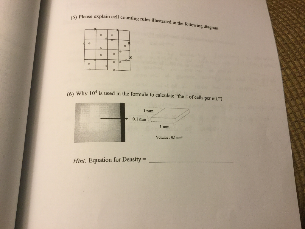 Solved Explain cell counting rules illustrated in the | Chegg.com