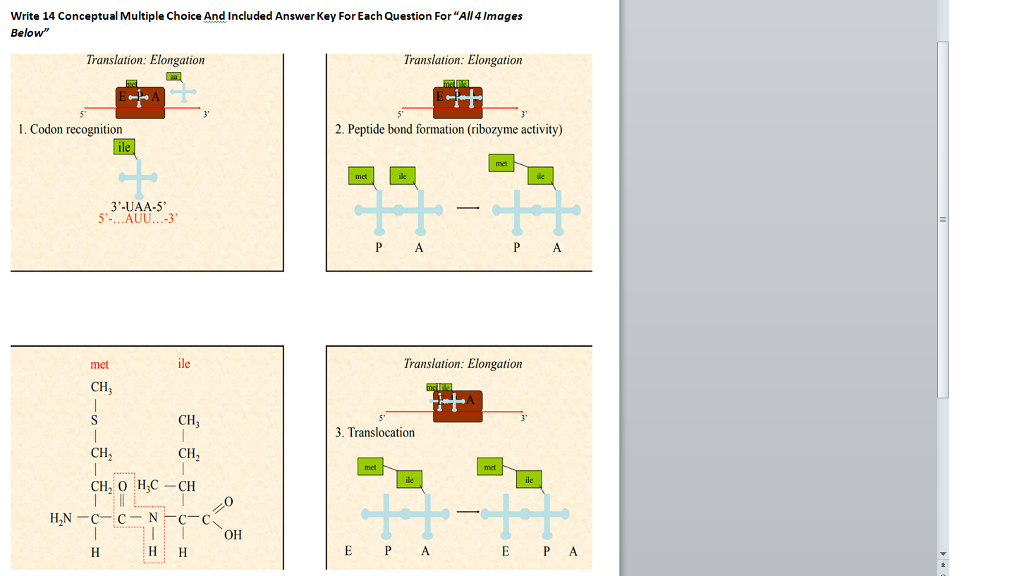 Solved Note: Write 14 Conceptual Multiple Choice And | Chegg.com