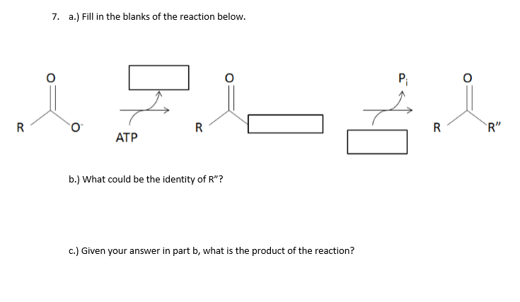 Solved 7. a.) Fill in the blanks of the reaction below. R" | Chegg.com