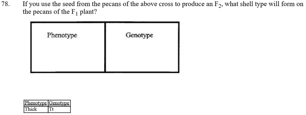Solved GENETICS Please Help! The answers have been provided | Chegg.com