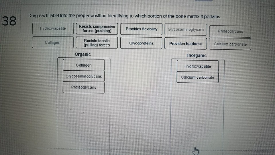 Solved Drag each label Into the proper position Identifying | Chegg.com