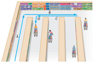 Solved A shopper at the supermarket follows the path | Chegg.com