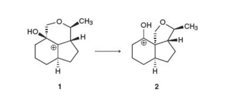 Methyl Group Examples