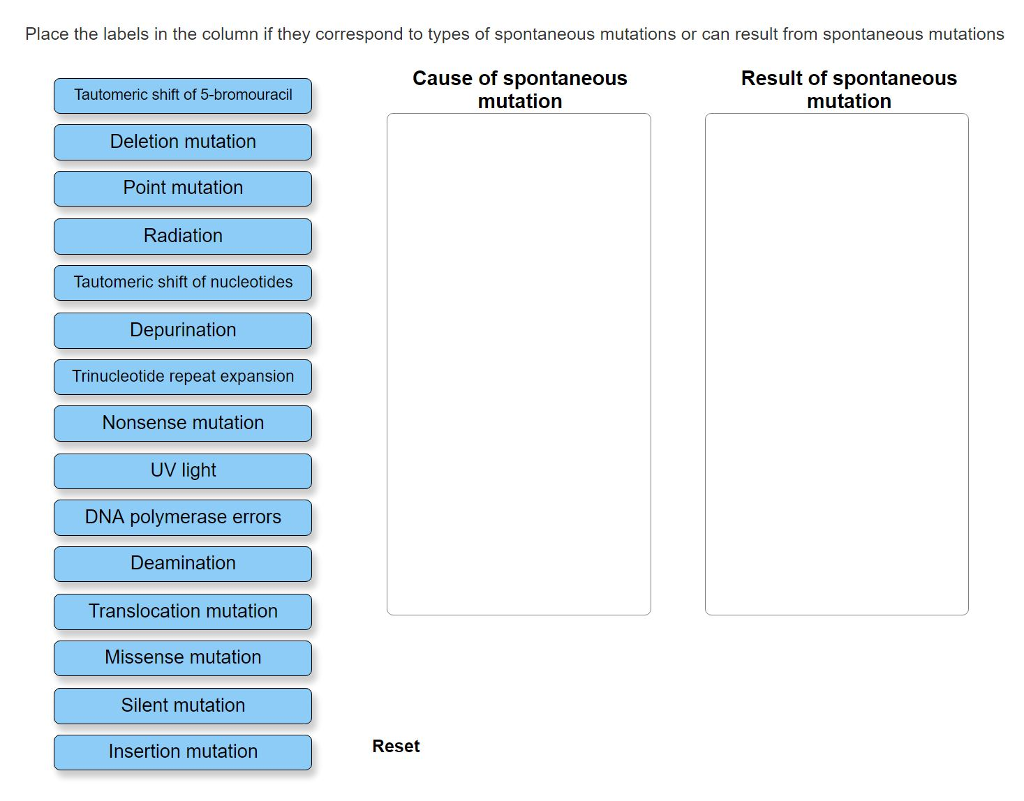 Solved Place the labels in the column if they correspond to | Chegg.com
