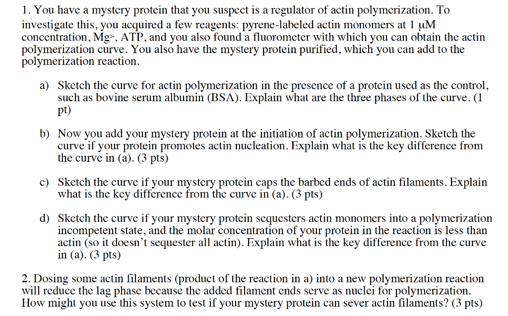 Solved 1. You have a mystery protein that you suspect is a | Chegg.com