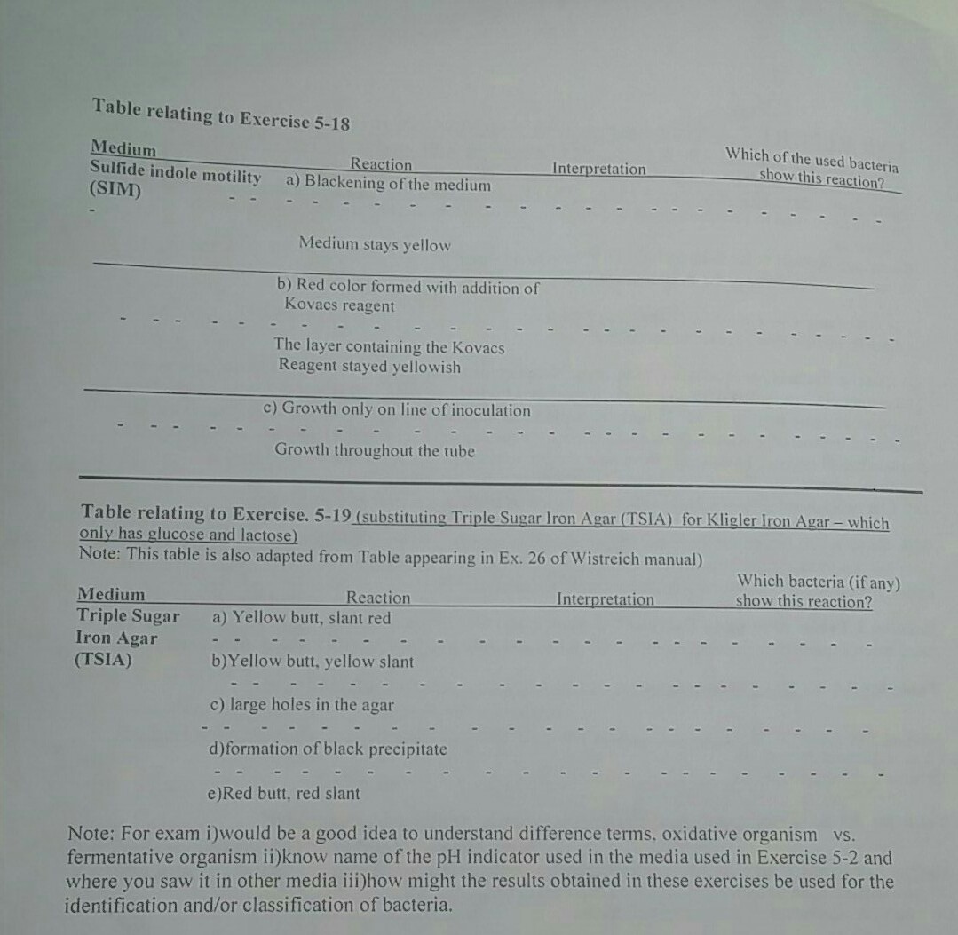 LAB REPORT 7- Sel Test /- Selected questions from LAB | Chegg.com