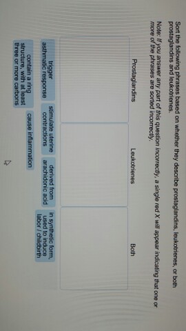 Solved Sort the following phrases based on whether they | Chegg.com