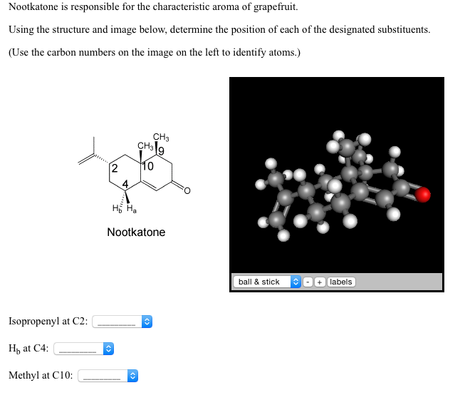 Solved Nootkatone is responsible for the characteristic | Chegg.com
