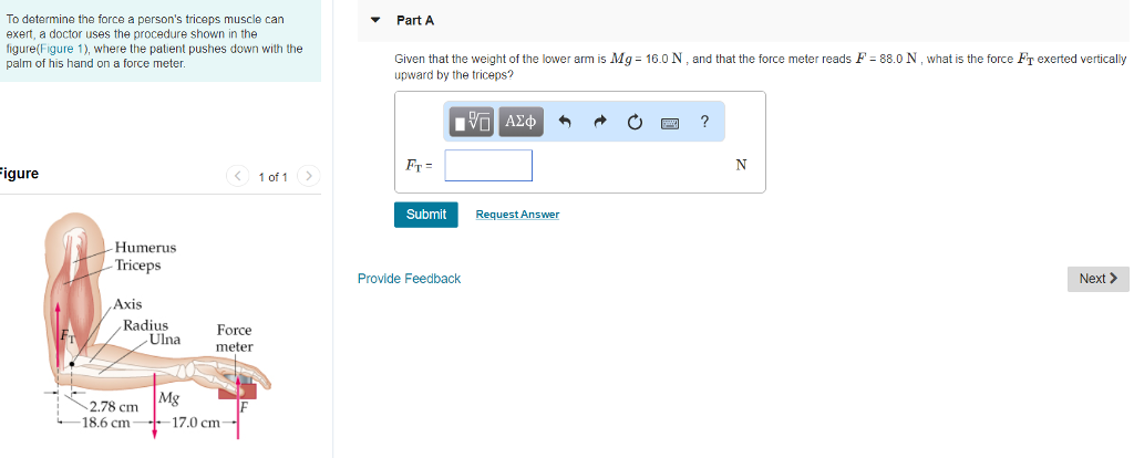 Solved To determine the force a person's triceps muscle can | Chegg.com