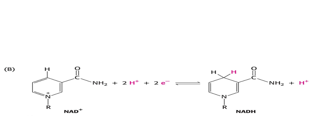 Solved H H, H NH2 + 2H+ + 2e- ーーーーー , NH2 + H+ NAD+ NADH NIR | Chegg.com