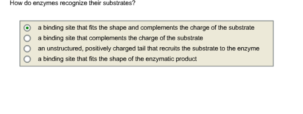 Solved How Do Enzymes Recognize Their Substrates O A
