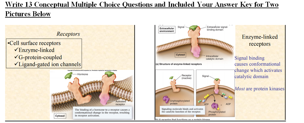 Solved Note: Write 13 Conceptual Multiple Choice Questions | Chegg.com