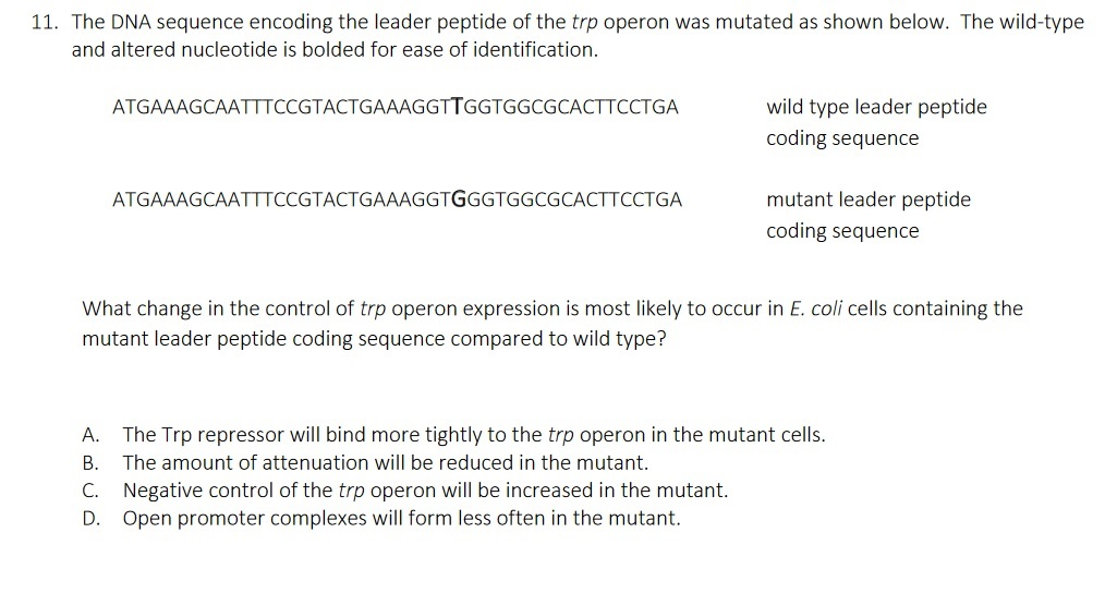 Solved 11. The DNA sequence encoding the leader peptide of | Chegg.com