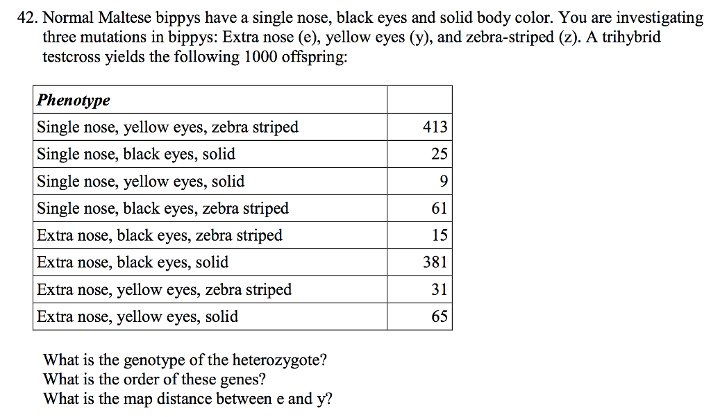 Solved 42. Normal Maltese bippys have a single nose, black | Chegg.com