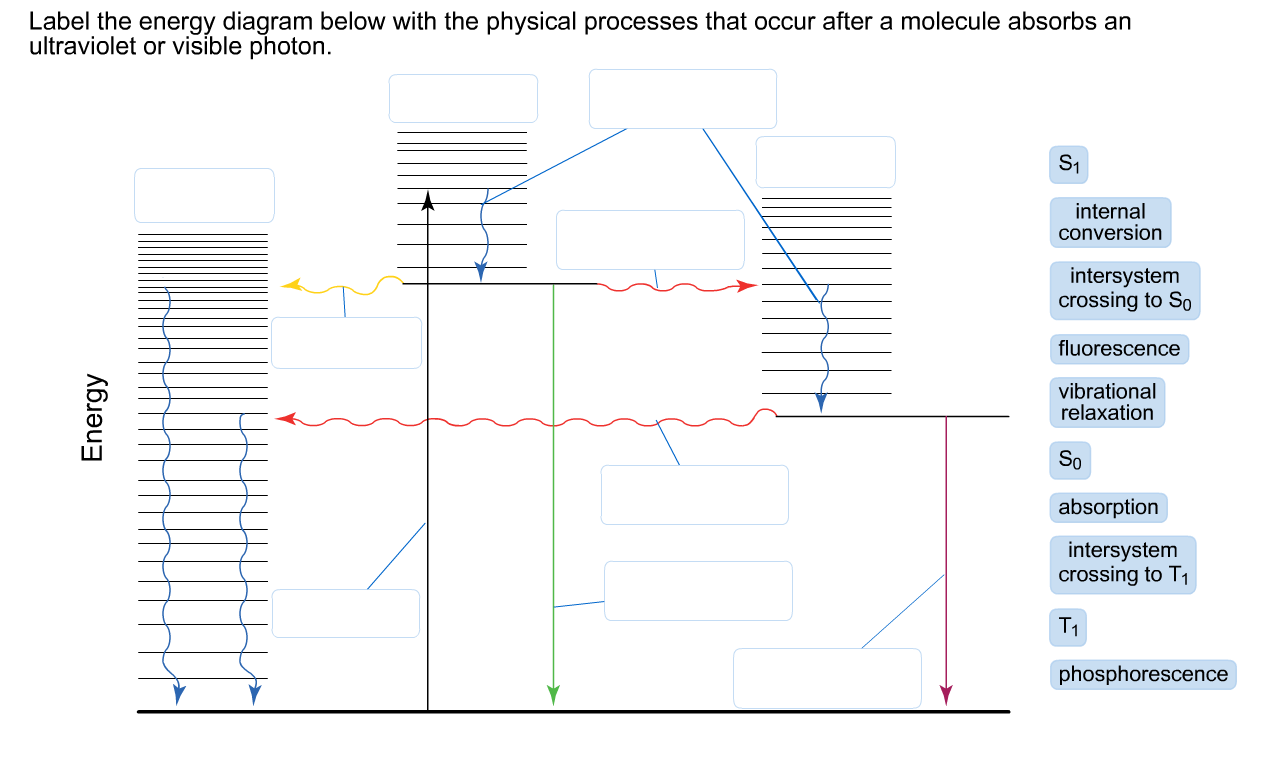 Solved Label the energy diagram below with the physical | Chegg.com