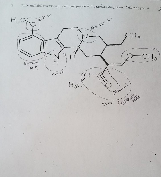 Solved Circle and label at least eight functional groups in | Chegg.com
