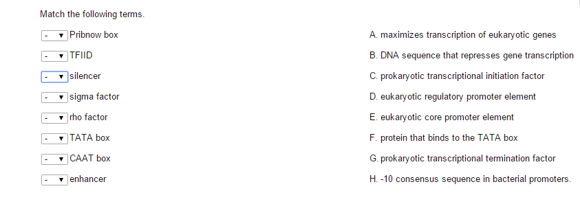Solved Match the following terms. Pribnow box TFIID | Chegg.com