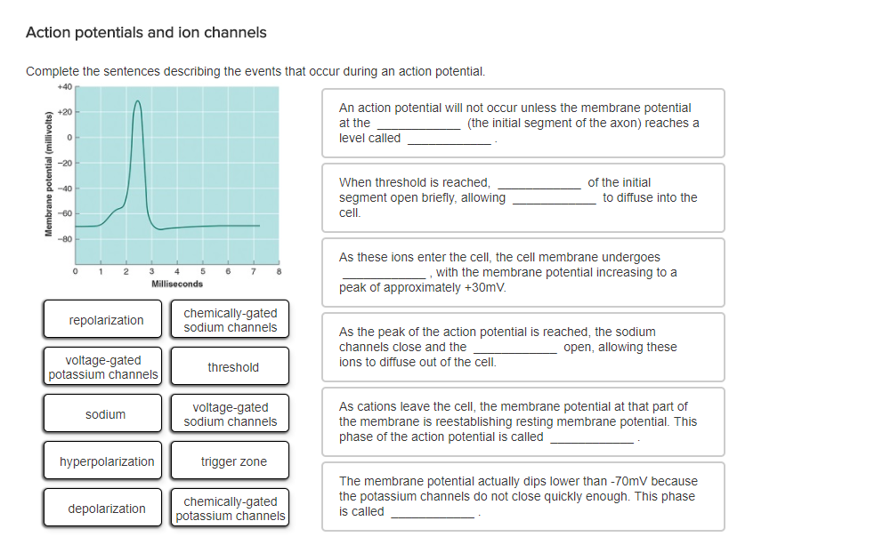 Solved Complete the sentences describing the events that | Chegg.com