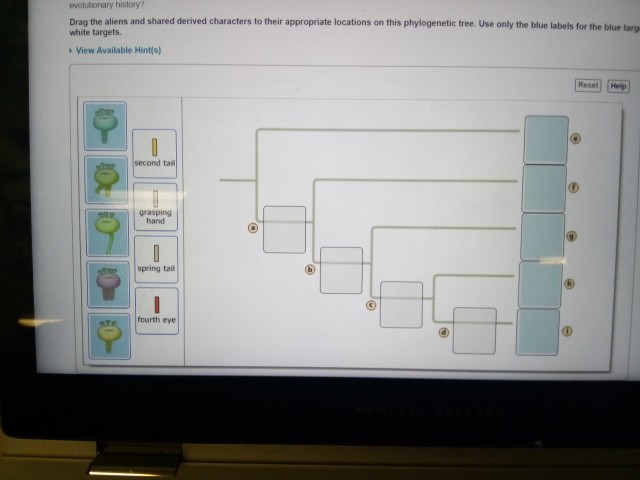 evolubonary history? Drag the aliens and shared | Chegg.com