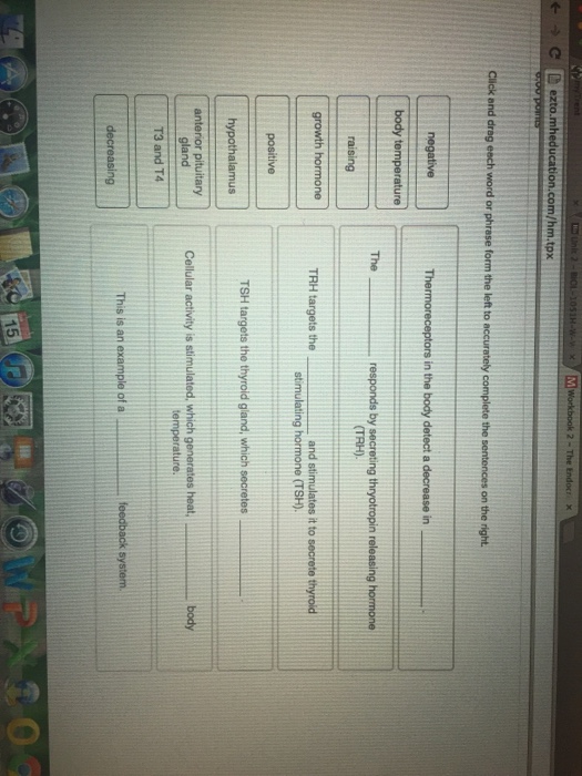 Solved Click and drag each word or phrase from the left to | Chegg.com