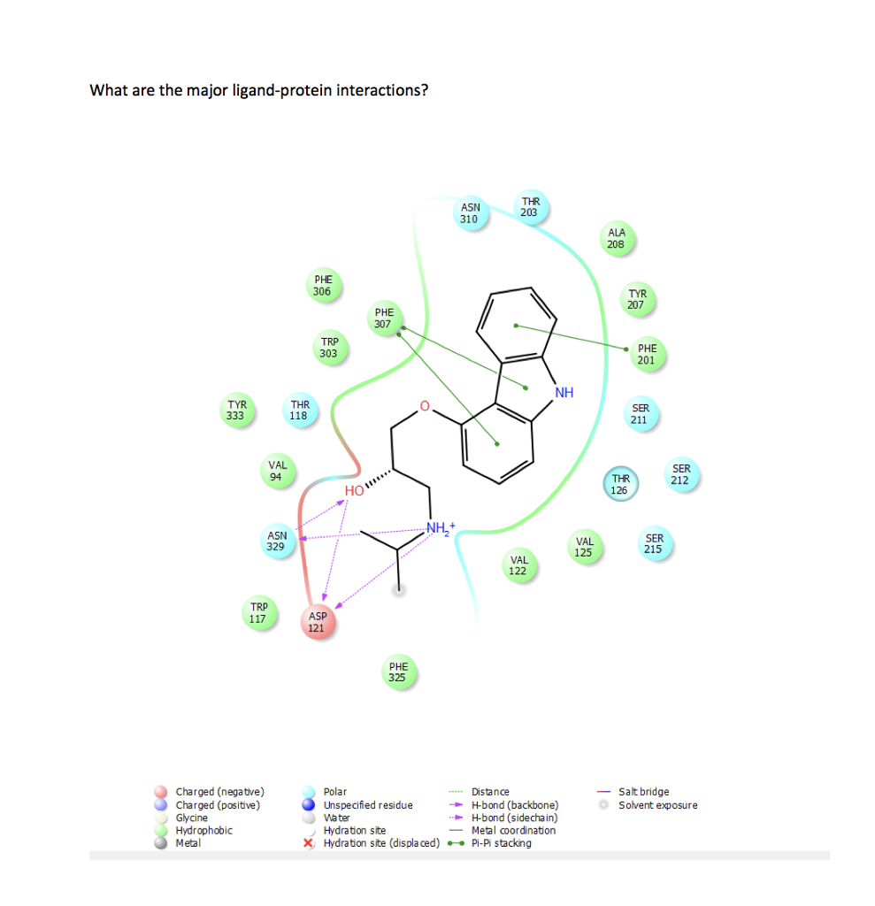 Solved What are the major ligand-protein interactions? ASN | Chegg.com
