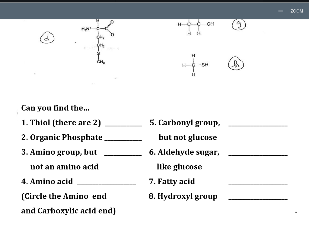 Solved ZOOM Functional Group Scavenger Hunt! HO HO-C-H -C-OH | Chegg.com