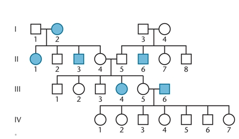 Solved AI 乙 042 모 모 | Chegg.com