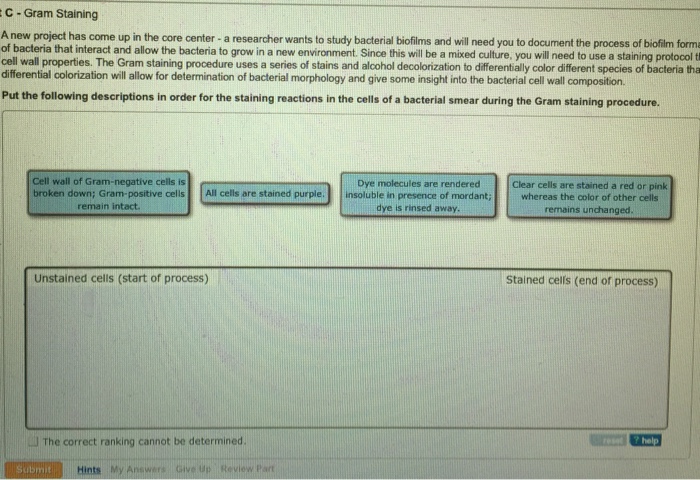 Solved C- Gram Staining A new project has come up in the | Chegg.com