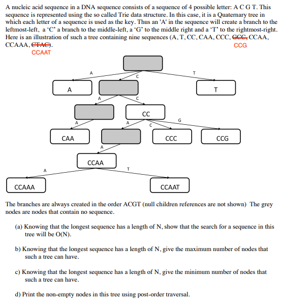 Solved A nucleic acid sequence in a DNA sequence consists of | Chegg.com