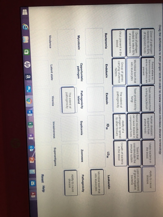 Solved Drag the definitions to their term in order to review | Chegg.com